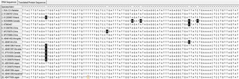 Multiple Sequence Alignments Of Partial Cytb Gene Sequences E