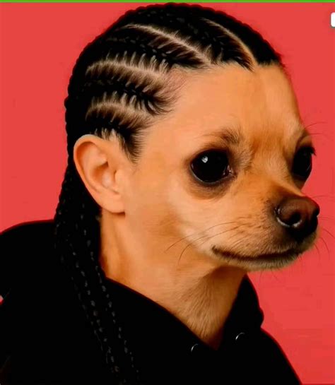 So You Trust This 🤔 Viralreelsシ Goodbye2024 2024trends Viralvideoシ Trendingreels