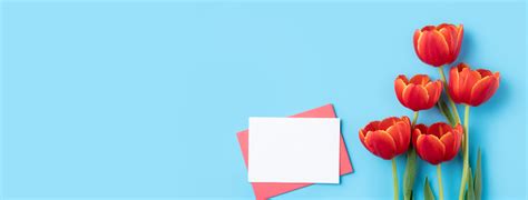 밝은 파란색 테이블 배경에 빨간 튤립 꽃다발을 곁들인 어머니의 날 휴일 인사말 선물의 디자인 컨셉 0명에 대한 스톡 사진 및 기타 이미지 Istock