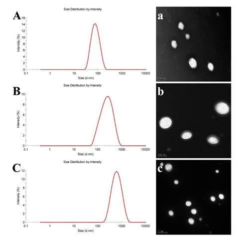 Nano Transdermal Formulation Size Distribution Testing Cd Formulation