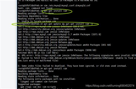 Docker容器中安装vimdocker Exec Vim Csdn博客