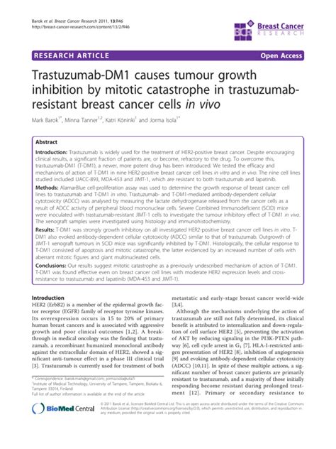 Trastuzumab Dm1 Causes Tumour Growth Inhibition By Mitotic Catastrophe