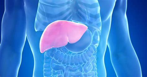 Exame De Fosfatase Alcalina Para Que Serve Posenato