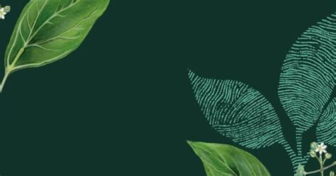 Greenhouse Pack Extend Coda With Greenhouse Coda