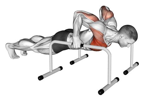 Push Bar Height At Jean Begaye Blog