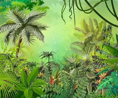 Kate Summer Tropical Backdrop Virgin Forest For Photography Backdrops Backgrounds Jungle