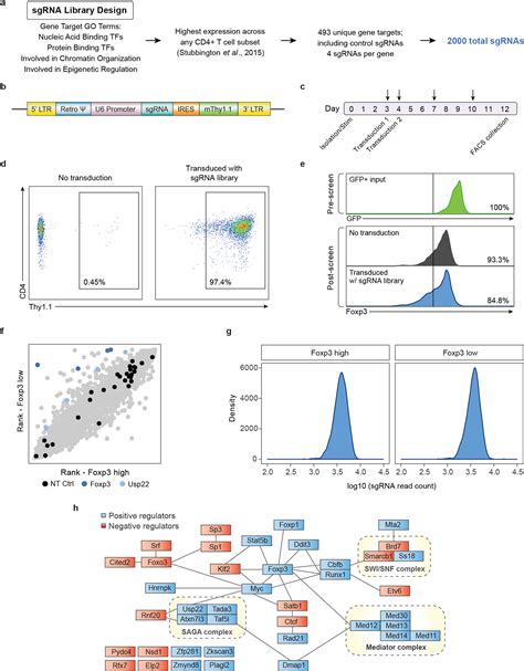 Crispr Screen In Regulatory T Cells Reveals Modulators Of Foxp3 Pmc