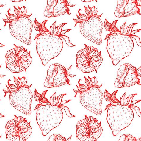 딸기밭 스톡 사진 및 일러스트 Istock