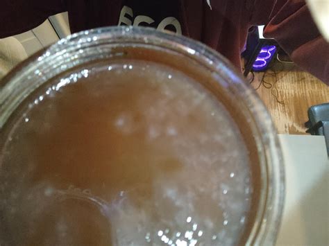 Is This A Healthy Scoby Developing On Top Of My Kombucha Rkombucha