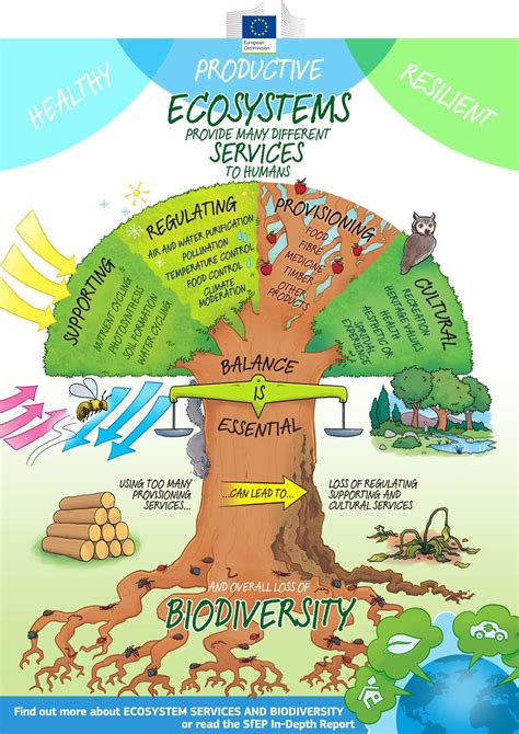 Ecosystem Examples