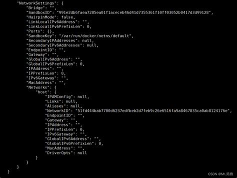 docker 网络 docker0网卡的作用 csdn博客