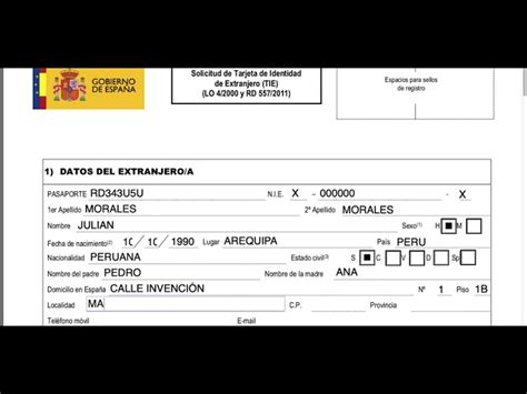 Guía Completa Sobre El Modelo Ex 17 Requisitos Y Procedimiento Para La