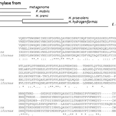 multiple sequence alignment a an unrooted phylogenetic tree showing