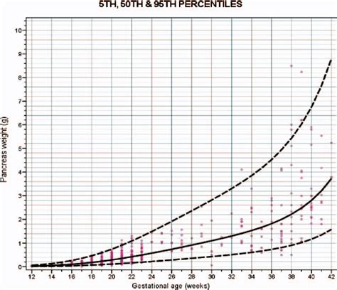 Figure 18 From Autopsy Standards For Fetal Lengths And Organ Weights Of