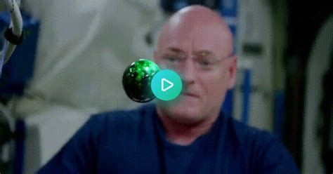 Scientists Feeding Newly Discovered Sentient Blob  On Imgur