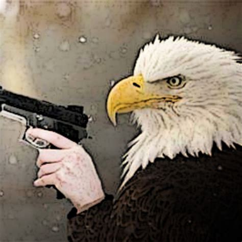 The Falling Eagle The Falling Eagle Tumblr Blog Tumlook