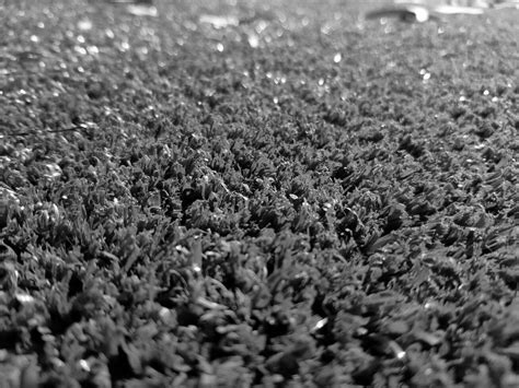 Black And White Grass Background Close View Grayscale Grass Photo