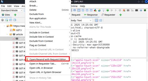 Web App Hacking Owasp Zap Introduction Hackers Arise