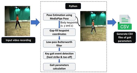 Automated Gait Analysis Based On A Marker Free Pose Estimation Model