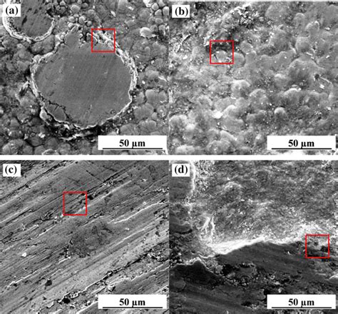 Sem Secondary Electron Micrograph Of Worn Specimen Of As Deposited