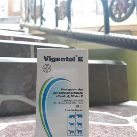 Harga Vigantol Terbaru Januari 2024 Biggo Indonesia