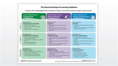 udl guidelines 3 0 laminated organizer