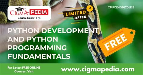 Python Development And Python Programming Fundamentals Free Udemy Course Cigma Pedia