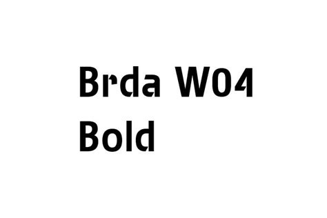 Brda W04 Bold Font Free Font Download