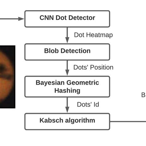 Orientation Estimation Pipeline Doe Download Scientific Diagram