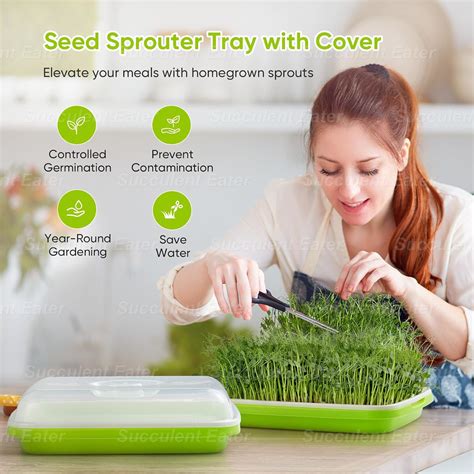 Sprouting Tray Microgreen Tray Double Layer Cat Grass Seedling