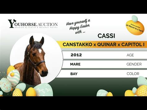 Youhorseauction Cassi