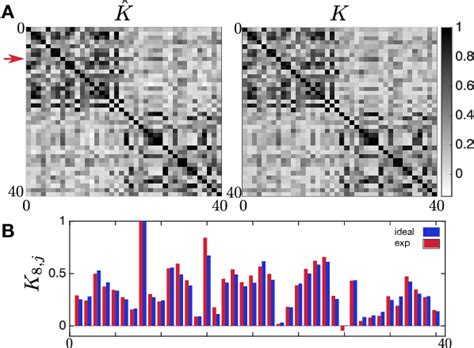 Supervised Learning With Quantum Enhanced Feature Spaces