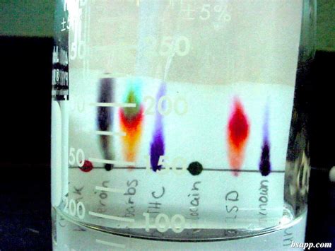 Ppt Thin Layer Chromatography Powerpoint Presentation Free Download Id 3106242