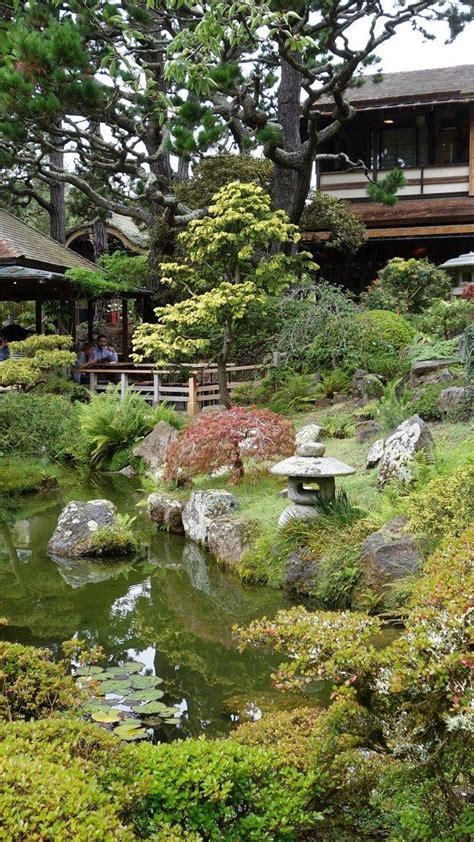 Small Tea Garden Ideas At Marisa Randolph Blog