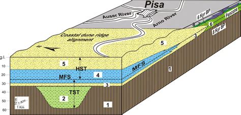 Diagram Showing Subsurface Stratigraphic Architecture Of The Pisa