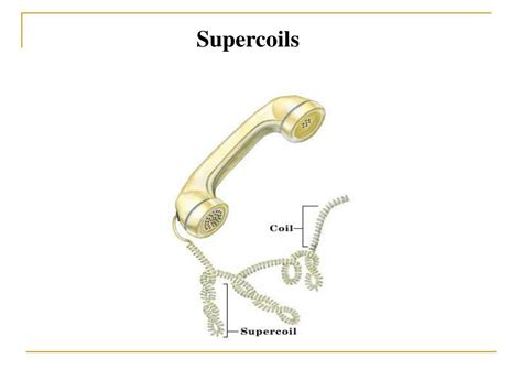 Ppt Chapter 24 Genes And Chromosomes Powerpoint Presentation Free Download Id 626798