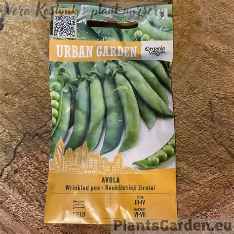 Osta Hernes Avola Online Plantsgarden Eu