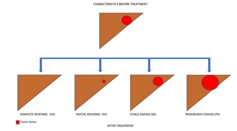 Radiological Response According To Recist 11 Download Scientific