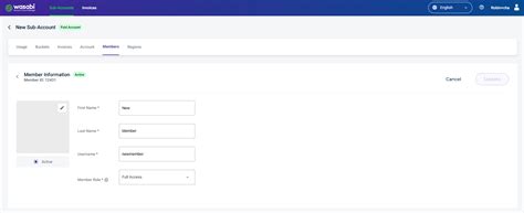 4—resetting The Password Of A Custom Cloud Console Member