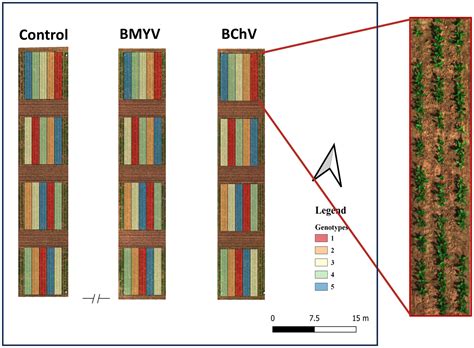 Aerial Low‐altitude Remote Sensing And Deep Learning For In‐field