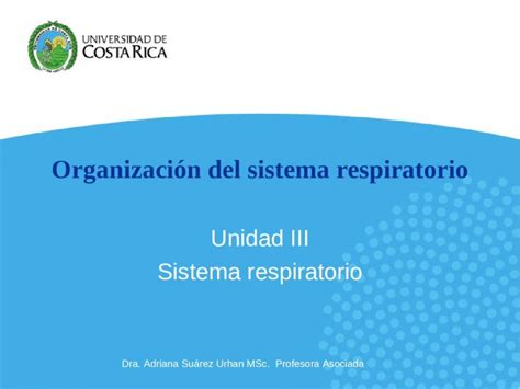 PPT Organización del sistema respiratorio Unidad III Sistema respiratorio Dra Adriana Suárez