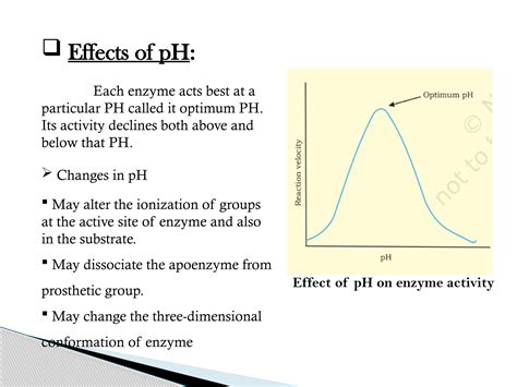 Factorsaffectingenzymeactivity 210720052027pptx