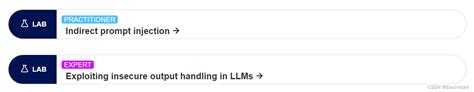 [译文] llm安全：3 网络llm攻击及提示注入知识普及（portswigger） insecure output handling csdn博客