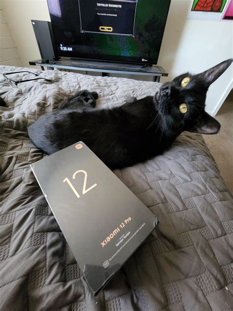 it s here r miui