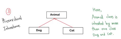 Comparison Inheritance And Polymorphism By Akash Shekhavat Dev Genius