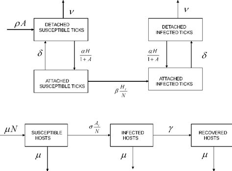 Figure From Stochastic Epidemic Models For Tick Borne Diseases Semantic Scholar