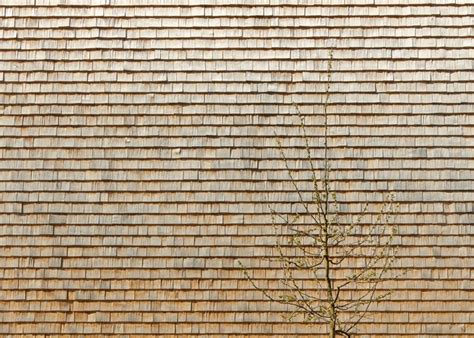 Stuttgart House By Search With Shingle Clad Walls And An Art Gallery