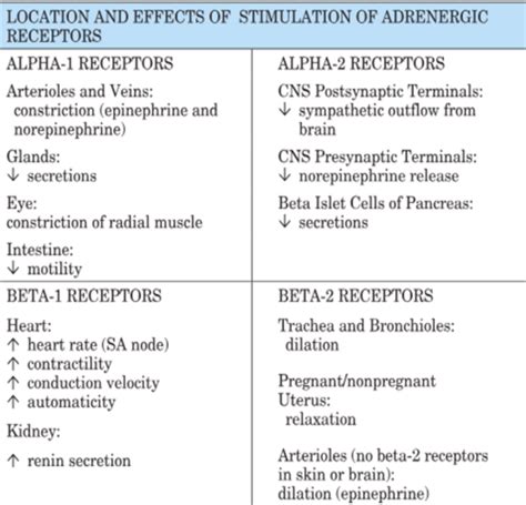Phys Hypertension Pathophys Flashcards Quizlet
