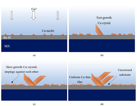 Seedless Cu Electroplating On Ru W Thin Films For Metallisation Of