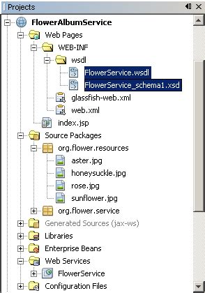 Web Service Passing Binary Data Pt Modifying The Schema And WSDL Files